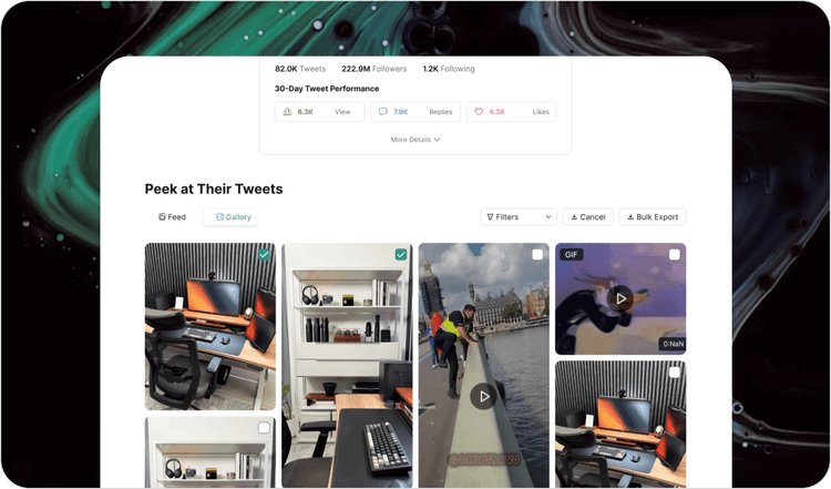 Twitter GIF Downloader — Download GIFs from Twitter in Seconds | ArchivlyX